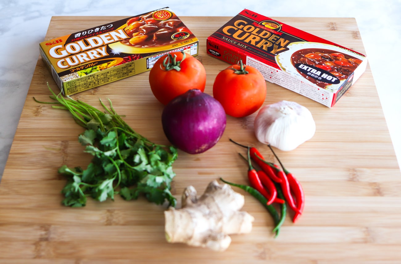 The BEST Indian Onion Chicken Curry! - That Spicy Chick