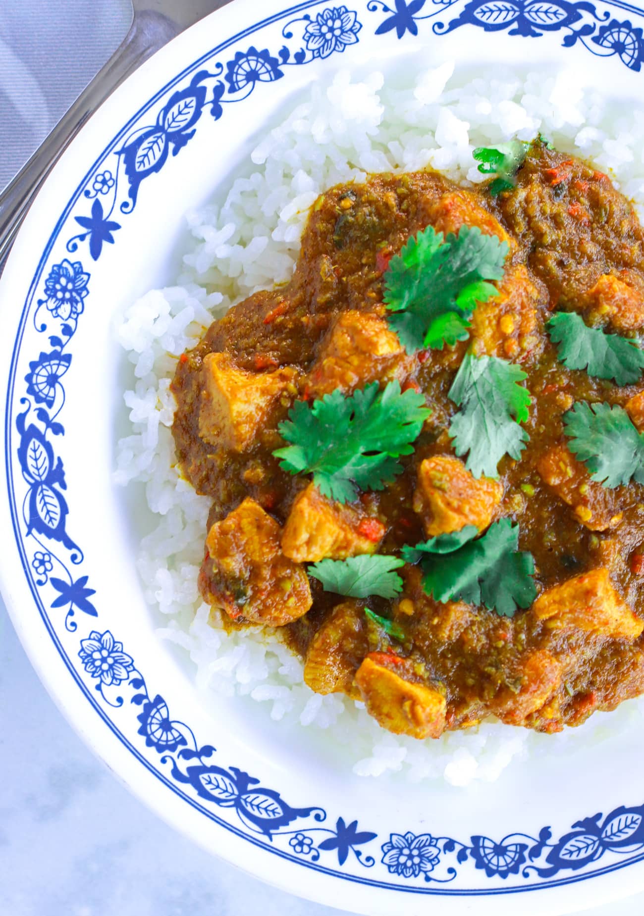 The BEST Indian Onion Chicken Curry! - That Spicy Chick