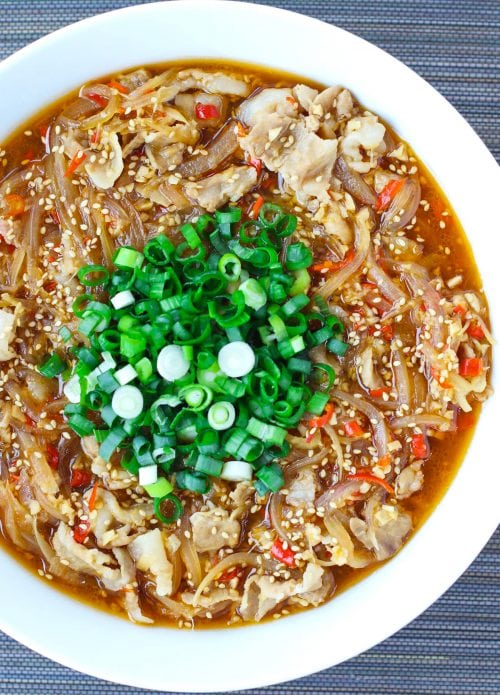 Japanese Pork Rice Bowl (Butadon) - That Spicy Chick