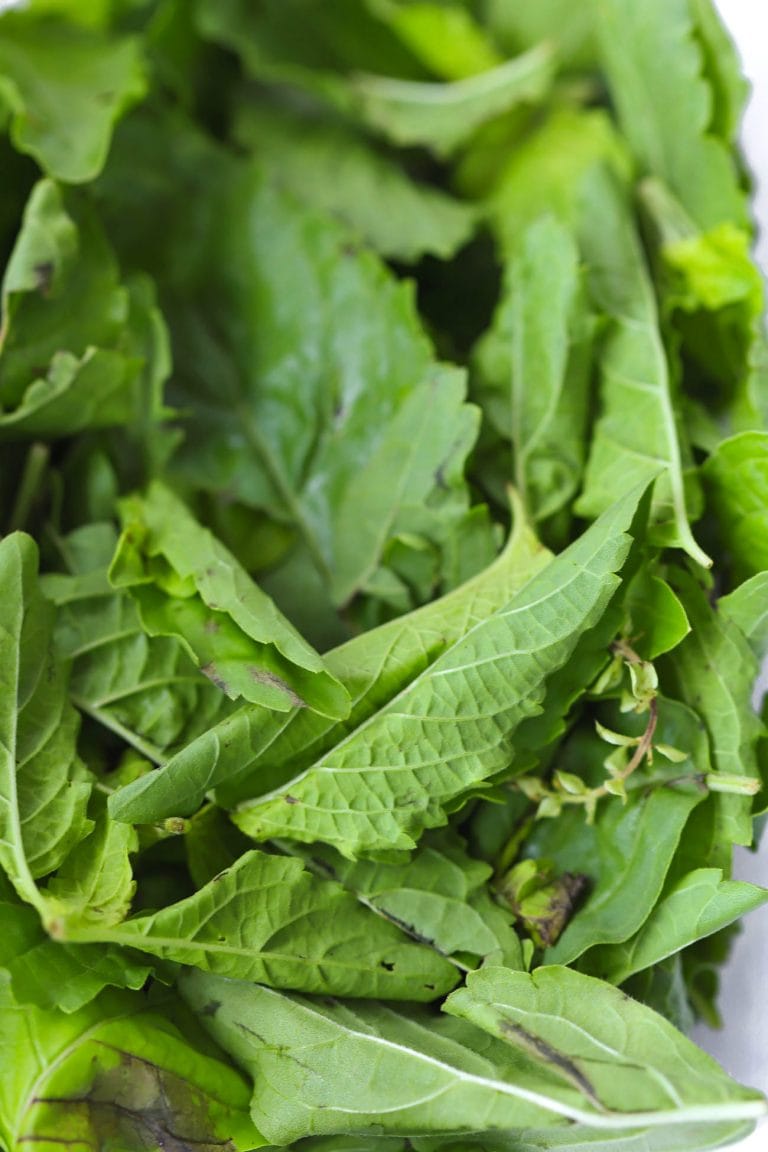 Thai Holy Basil Chicken (Pad Kra Pow Gai) - That Spicy Chick