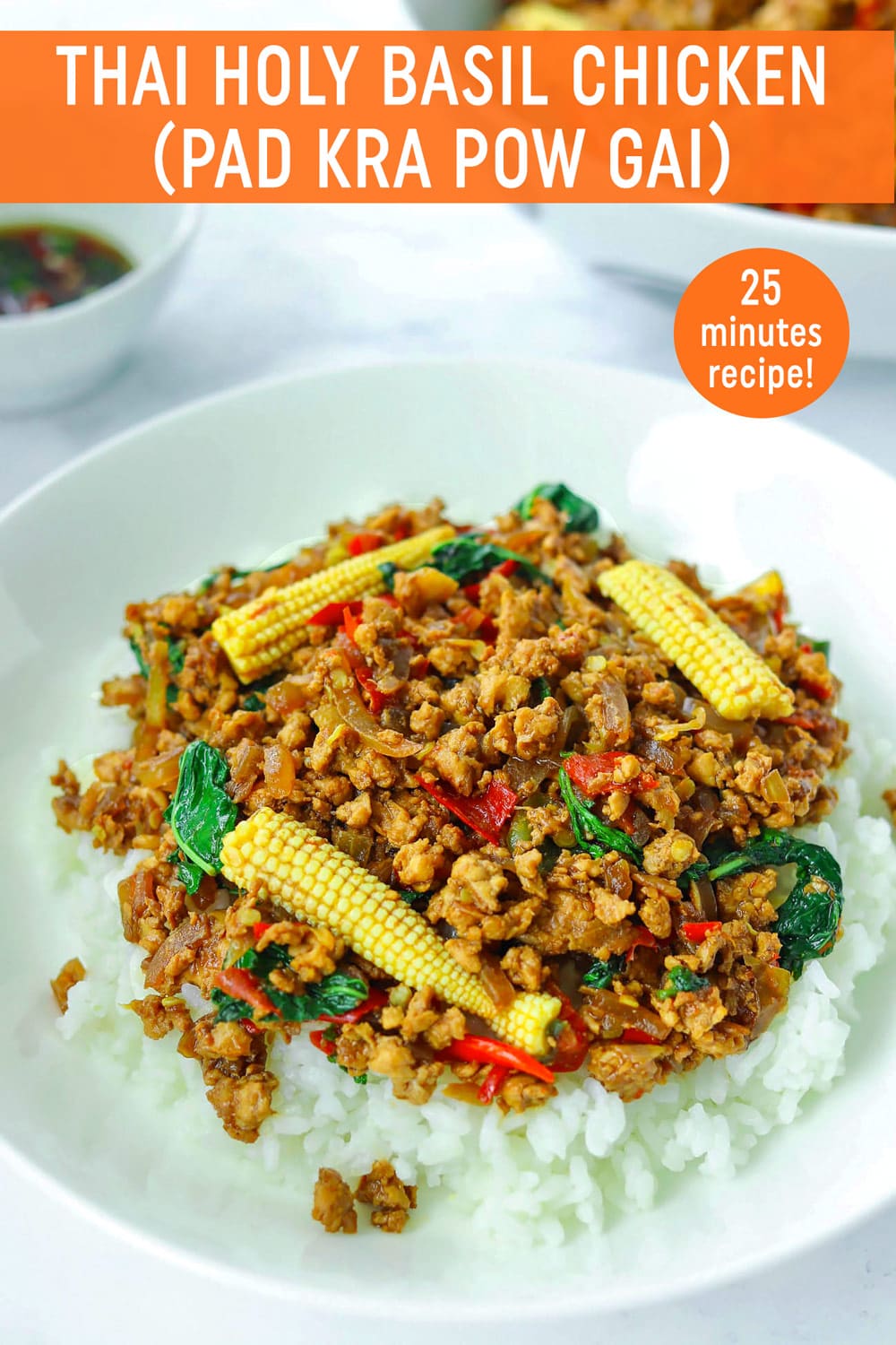 Thai Holy Basil Chicken (Pad Kra Pow Gai) - That Spicy Chick