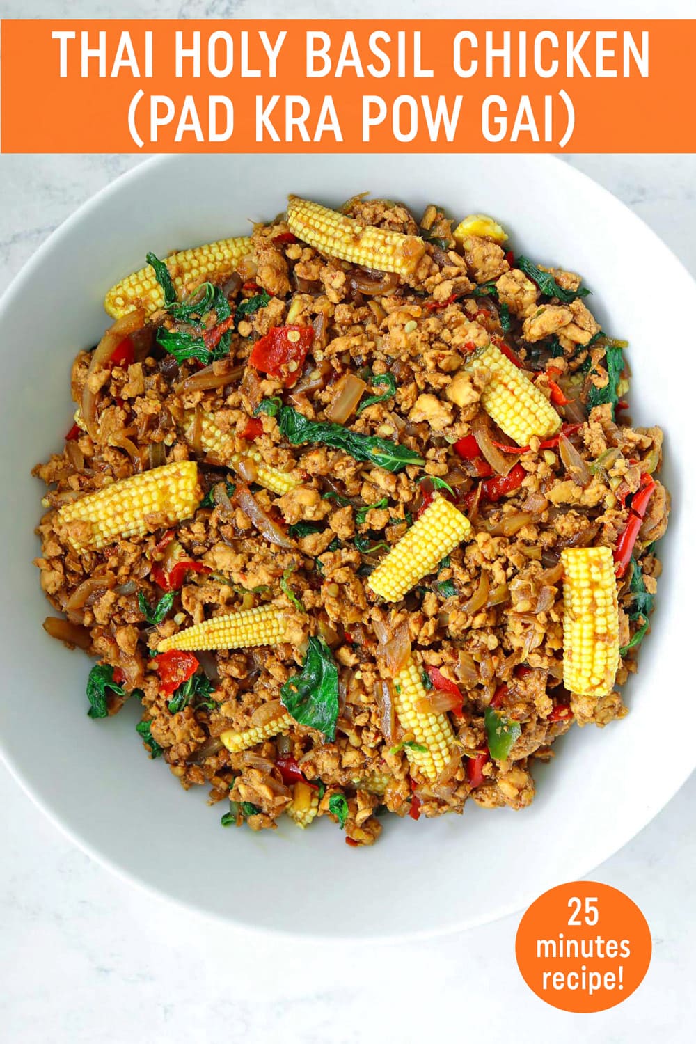 Thai Holy Basil Chicken (Pad Kra Pow Gai) - That Spicy Chick