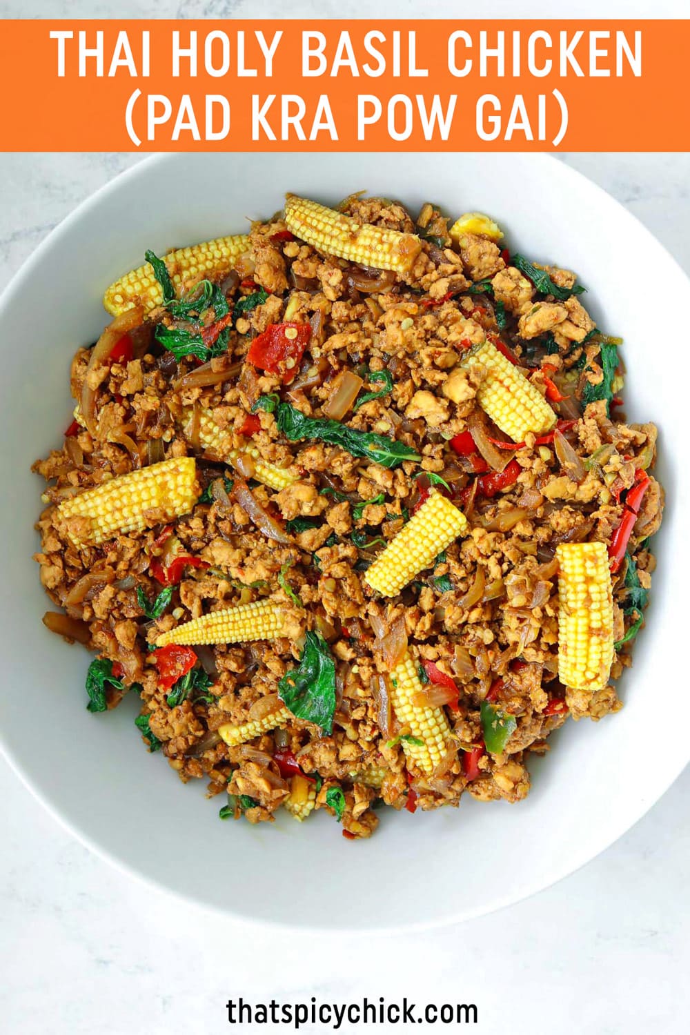 Thai Holy Basil Chicken (Pad Kra Pow Gai) - That Spicy Chick