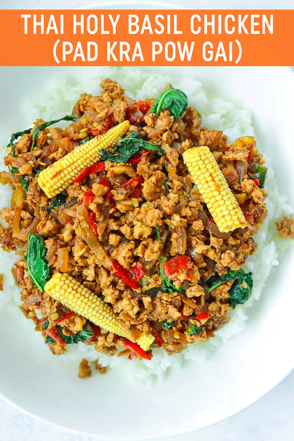 Thai Holy Basil Chicken (Pad Kra Pow Gai) - That Spicy Chick