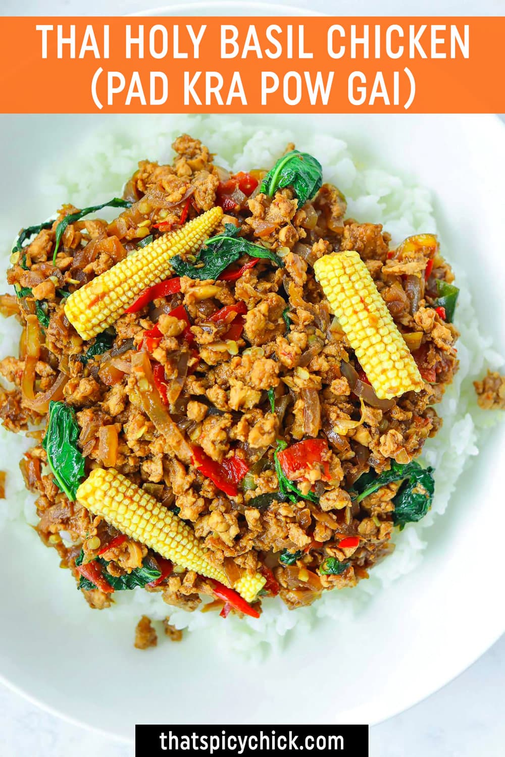 Thai Holy Basil Chicken (Pad Kra Pow Gai) - That Spicy Chick