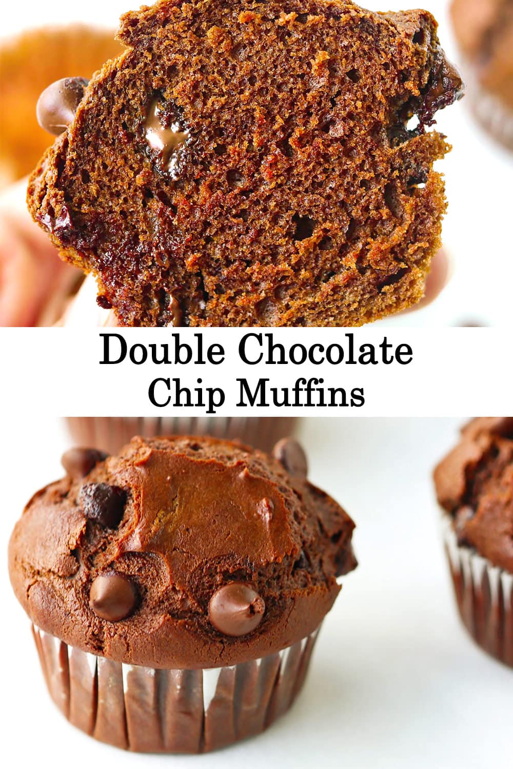 Double Chocolate Chip Muffins (super soft and moist!) - That Spicy Chick
