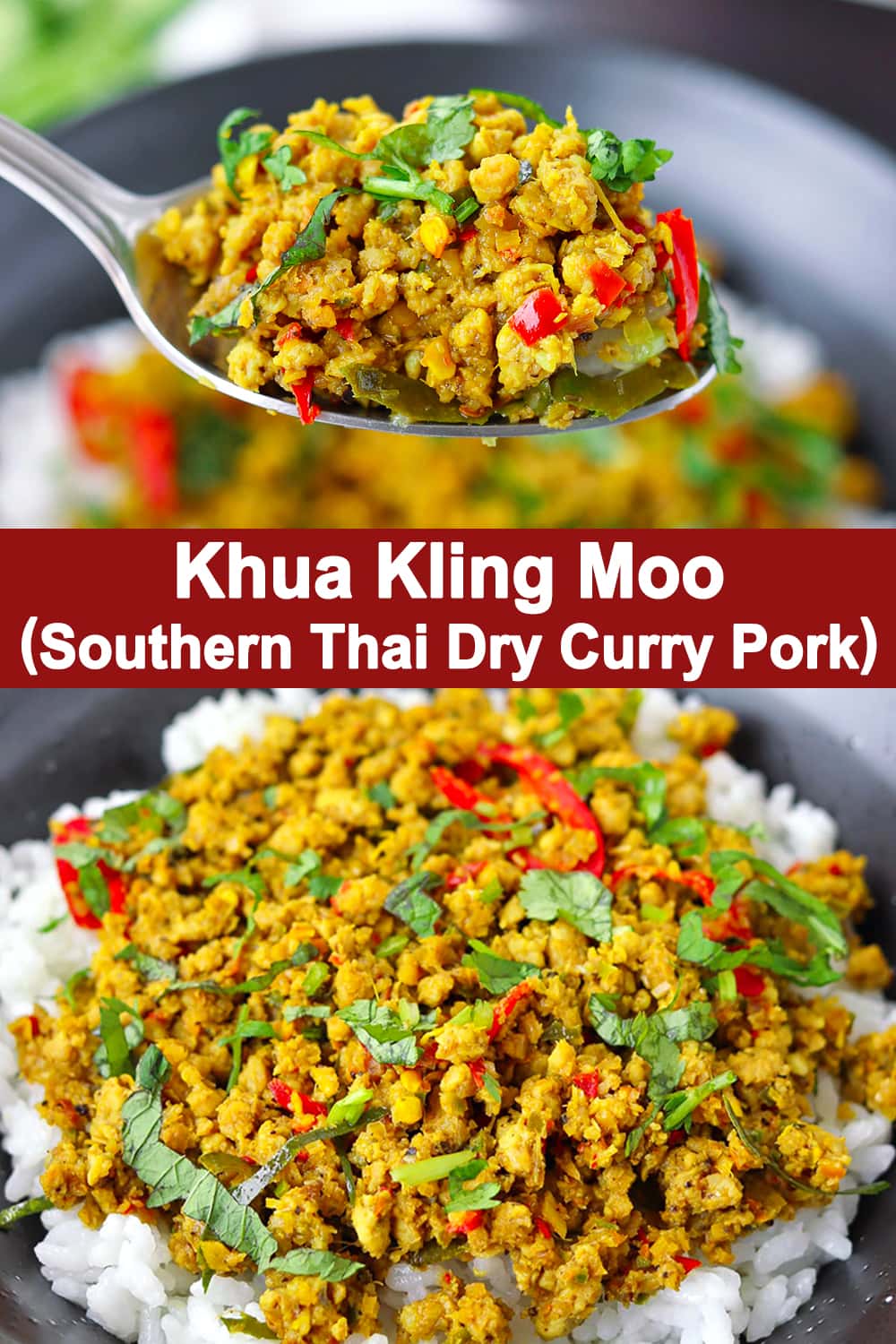 Khua Kling Moo (Southern Thai Dry Curry Pork) - That Spicy Chick