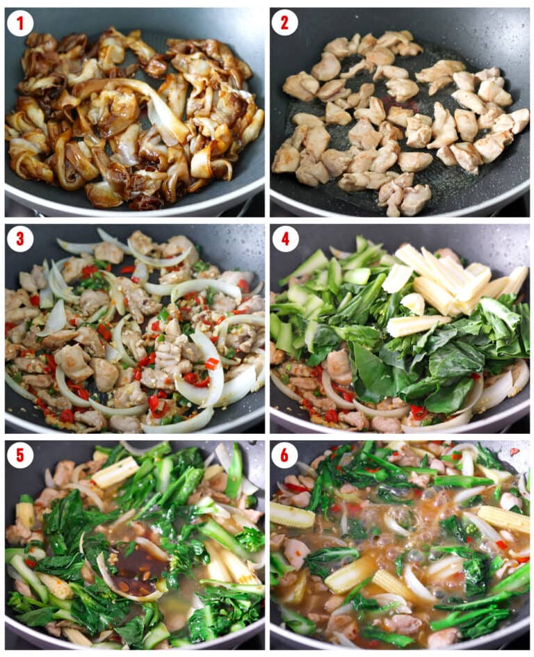 Rad Na Gai (Thai Gravy Noodles with Chicken) - That Spicy Chick