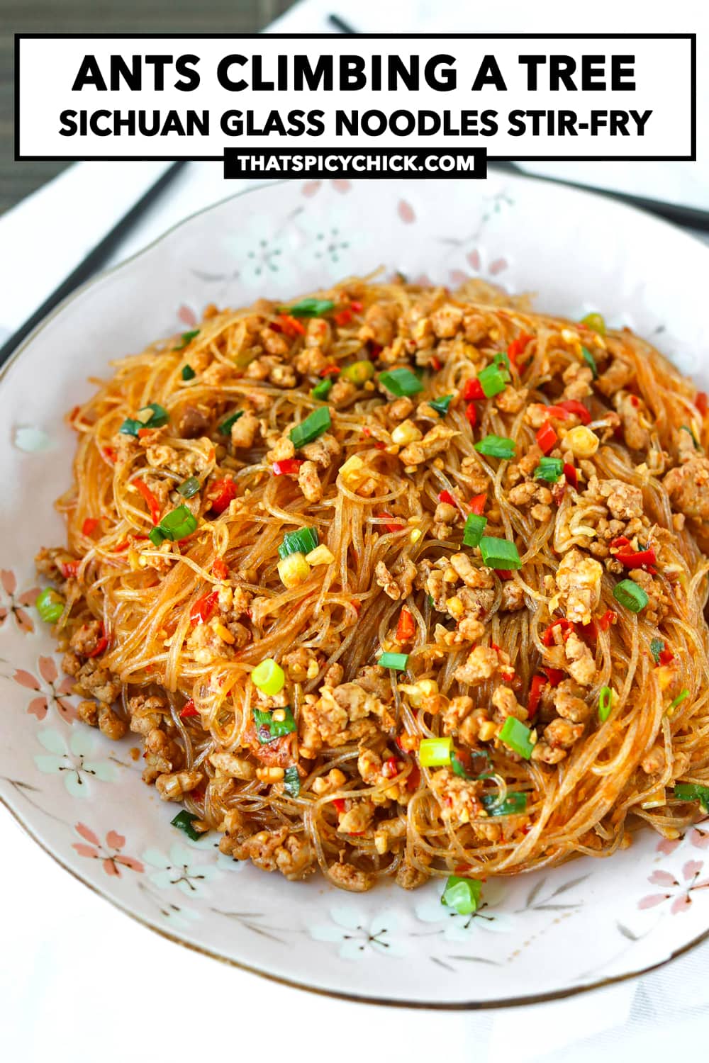 Ants Climbing A Tree (Ma Yi Shang Shu) - That Spicy Chick