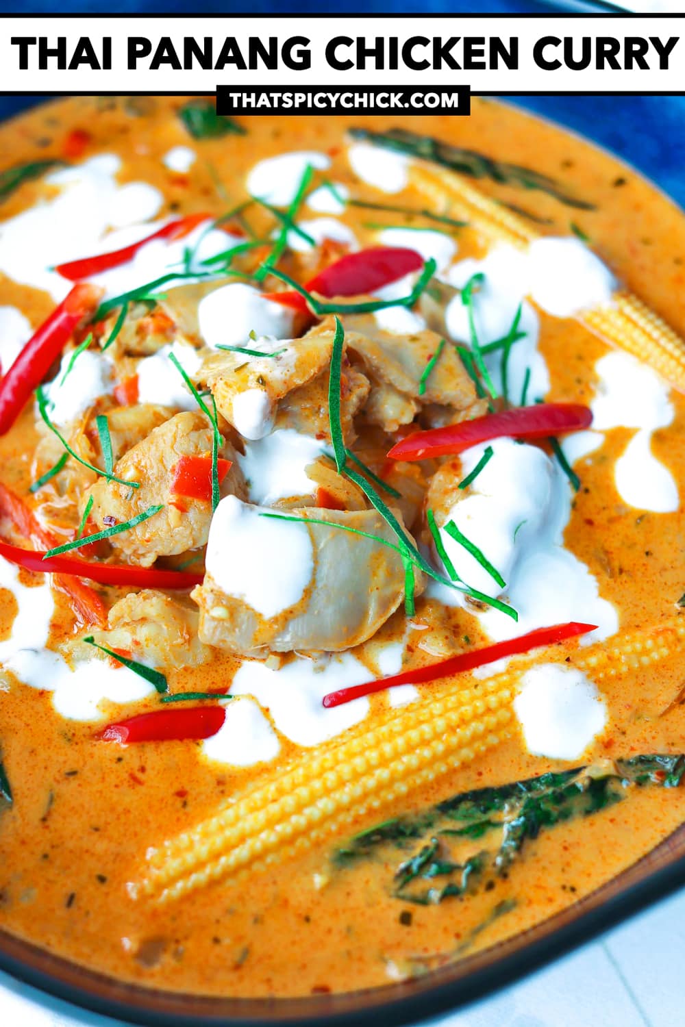 Thai Panang Chicken Curry (Easy Weeknight Recipe!) - That Spicy Chick