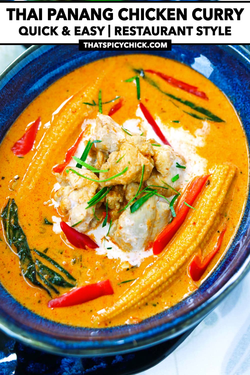 Thai Panang Chicken Curry (Easy Weeknight Recipe!) - That Spicy Chick