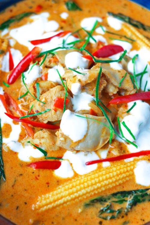 Thai Panang Chicken Curry (Easy Weeknight Recipe!) - That Spicy Chick