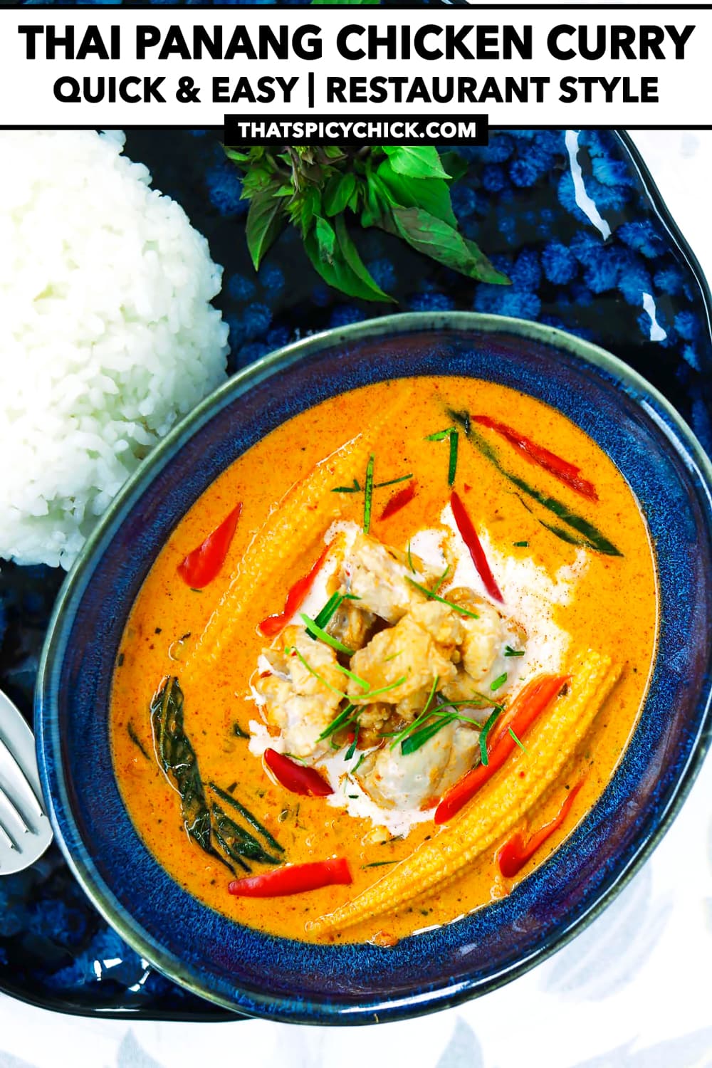 Thai Panang Chicken Curry (Easy Weeknight Recipe!) - That Spicy Chick