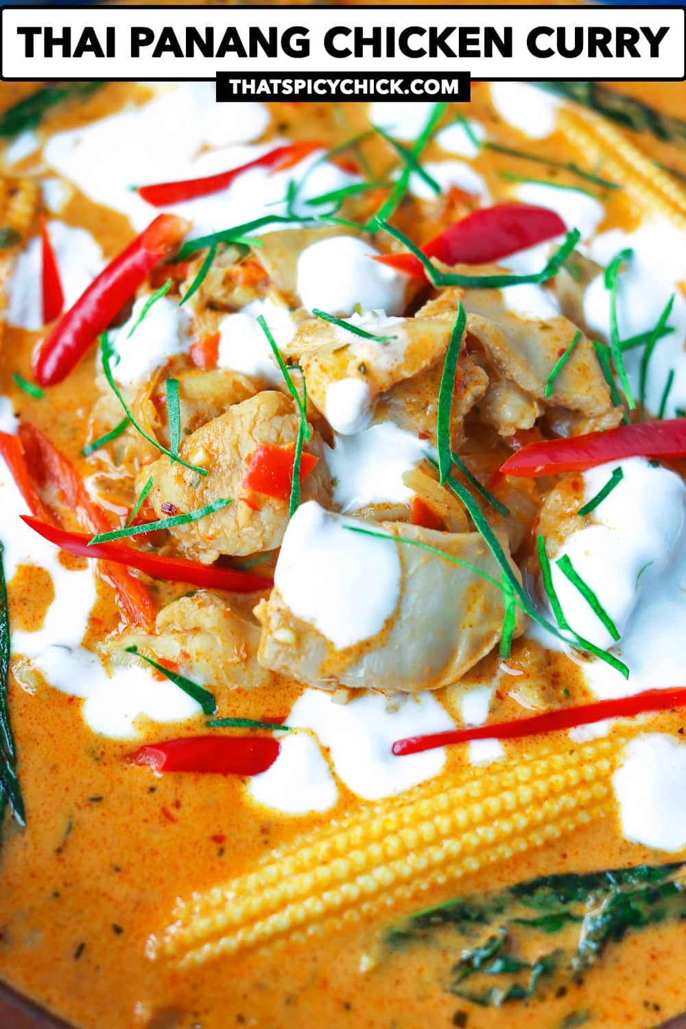 Thai Panang Chicken Curry (Easy Weeknight Recipe!) - That Spicy Chick