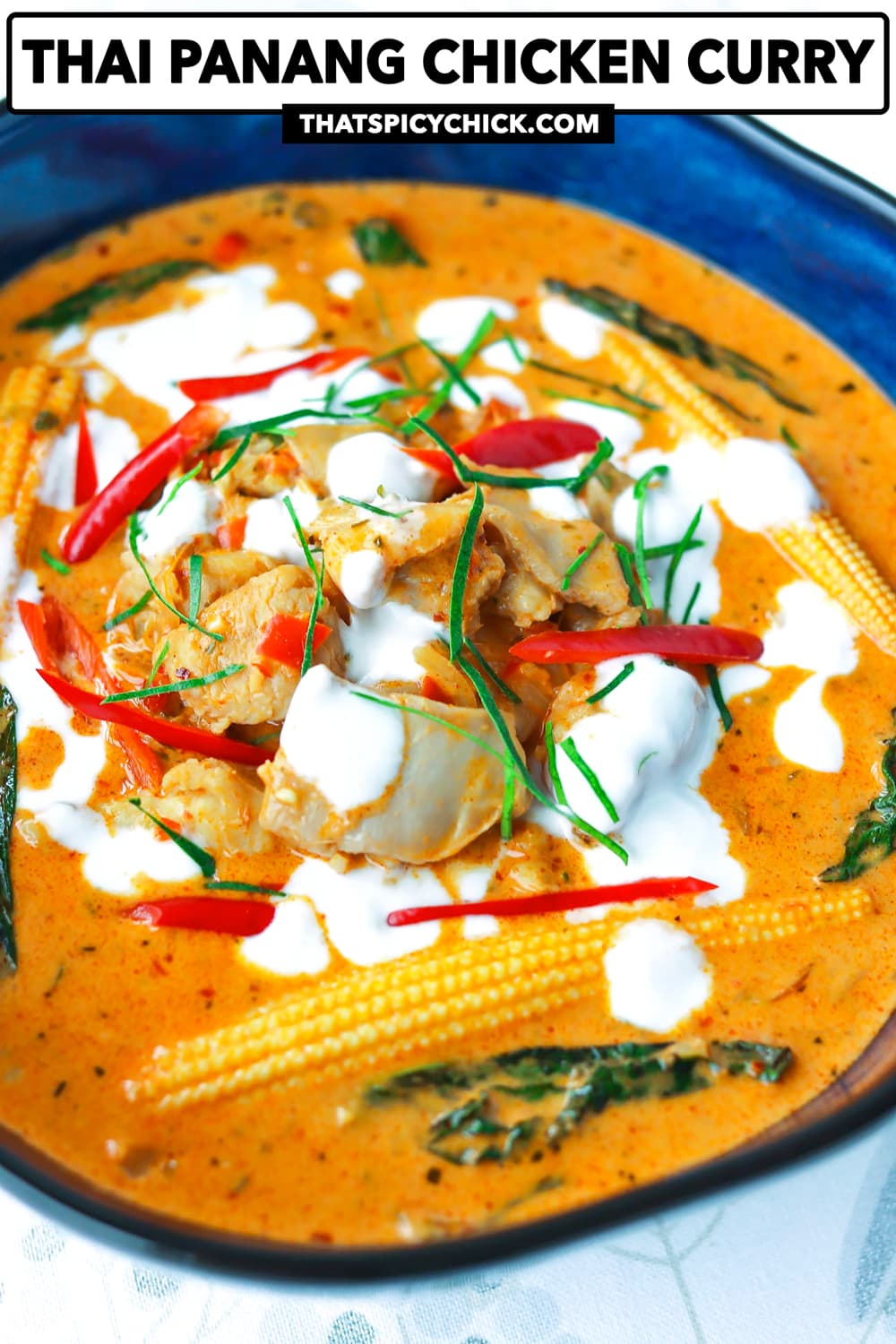 Thai Panang Chicken Curry (Easy Weeknight Recipe!) - That Spicy Chick