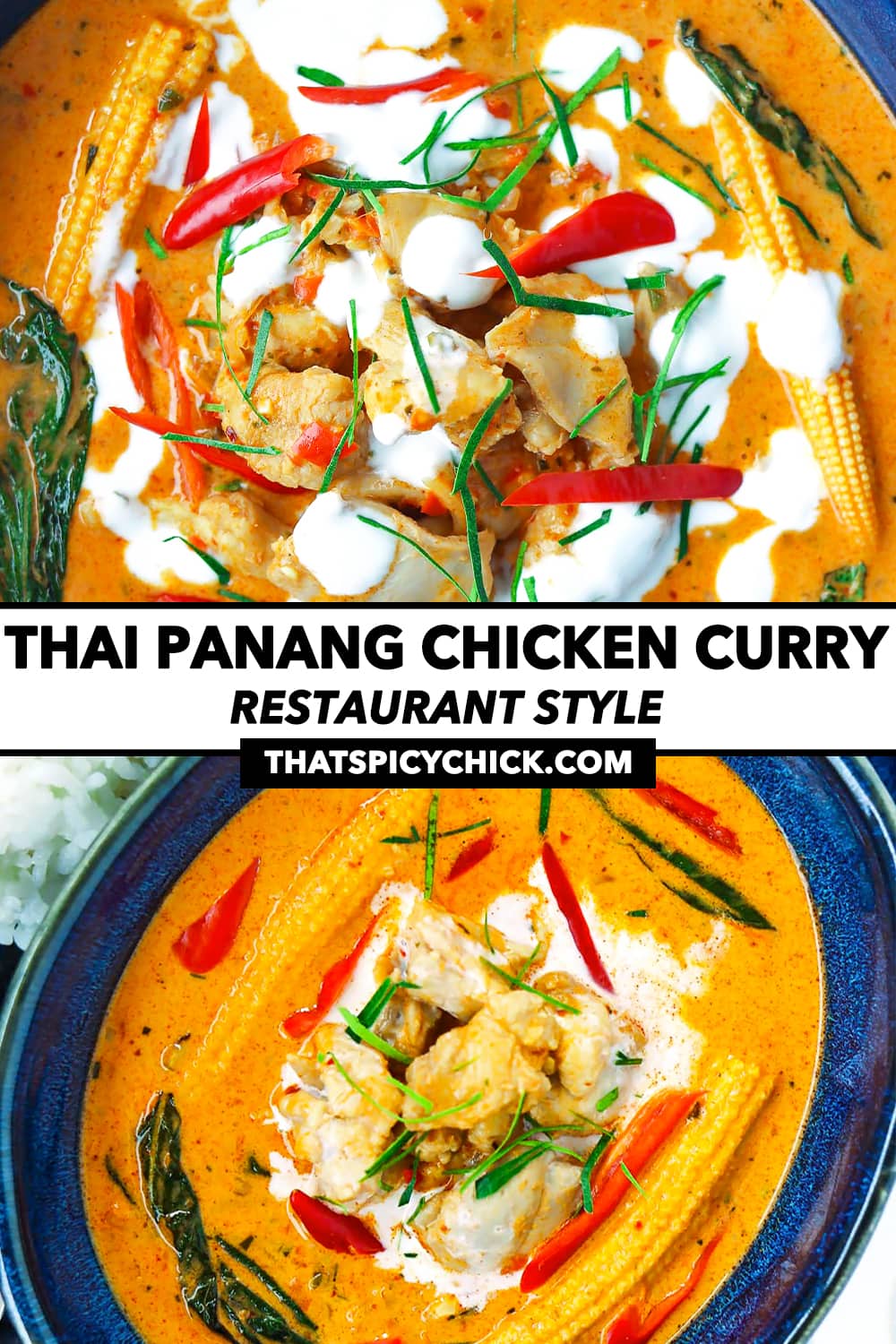 Thai Panang Chicken Curry (Easy Weeknight Recipe!) - That Spicy Chick
