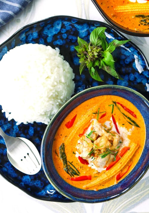 Thai Panang Chicken Curry (Easy Weeknight Recipe!) - That Spicy Chick