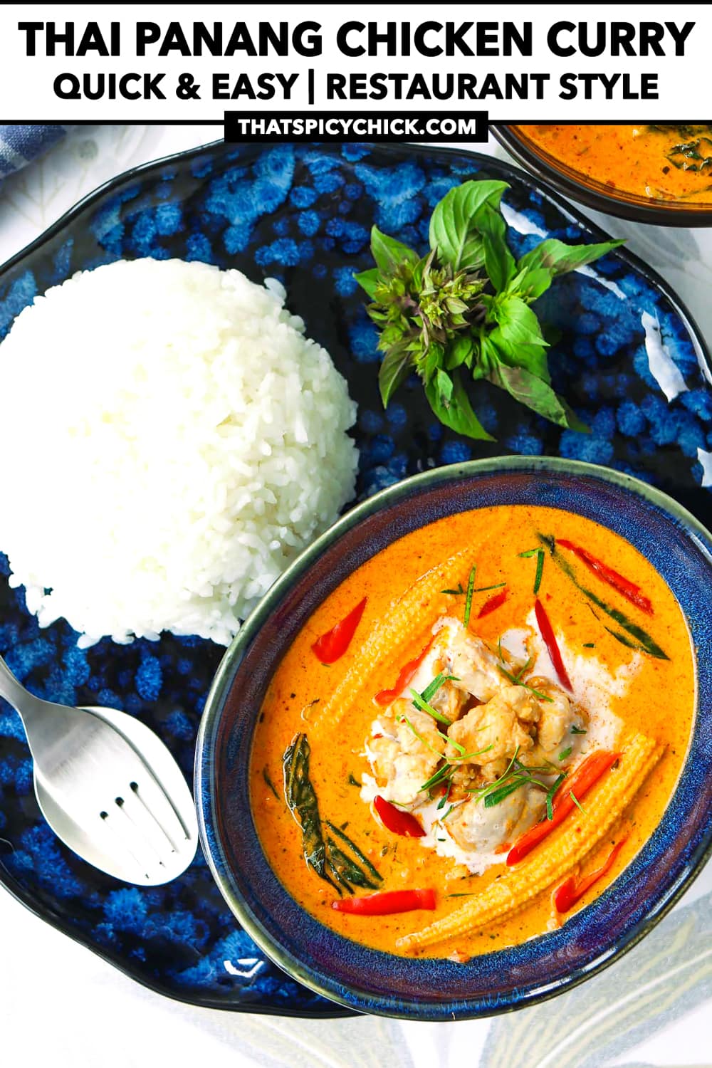 Thai Panang Chicken Curry (Easy Weeknight Recipe!) - That Spicy Chick