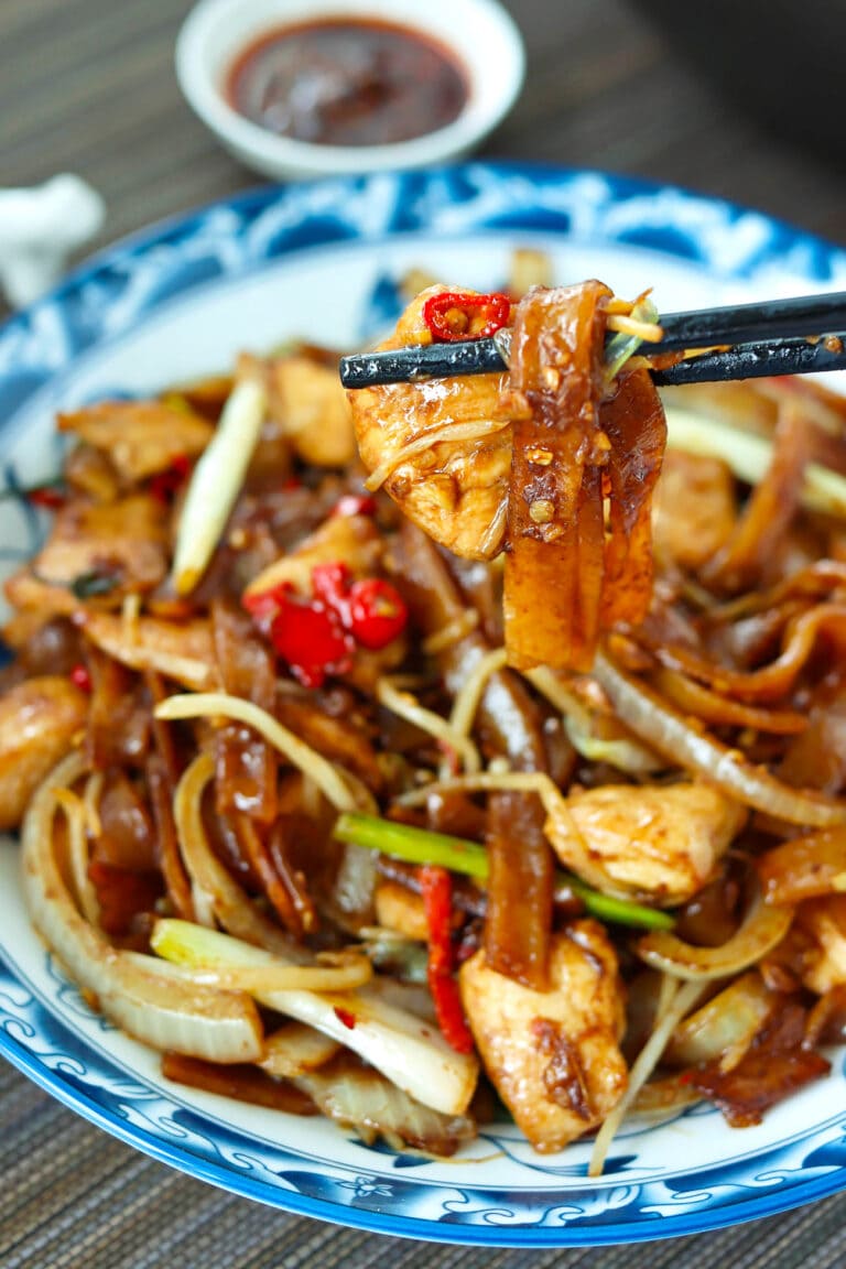 Chicken Chow Fun (Cantonese Style Stir-fried Noodles) - That Spicy Chick