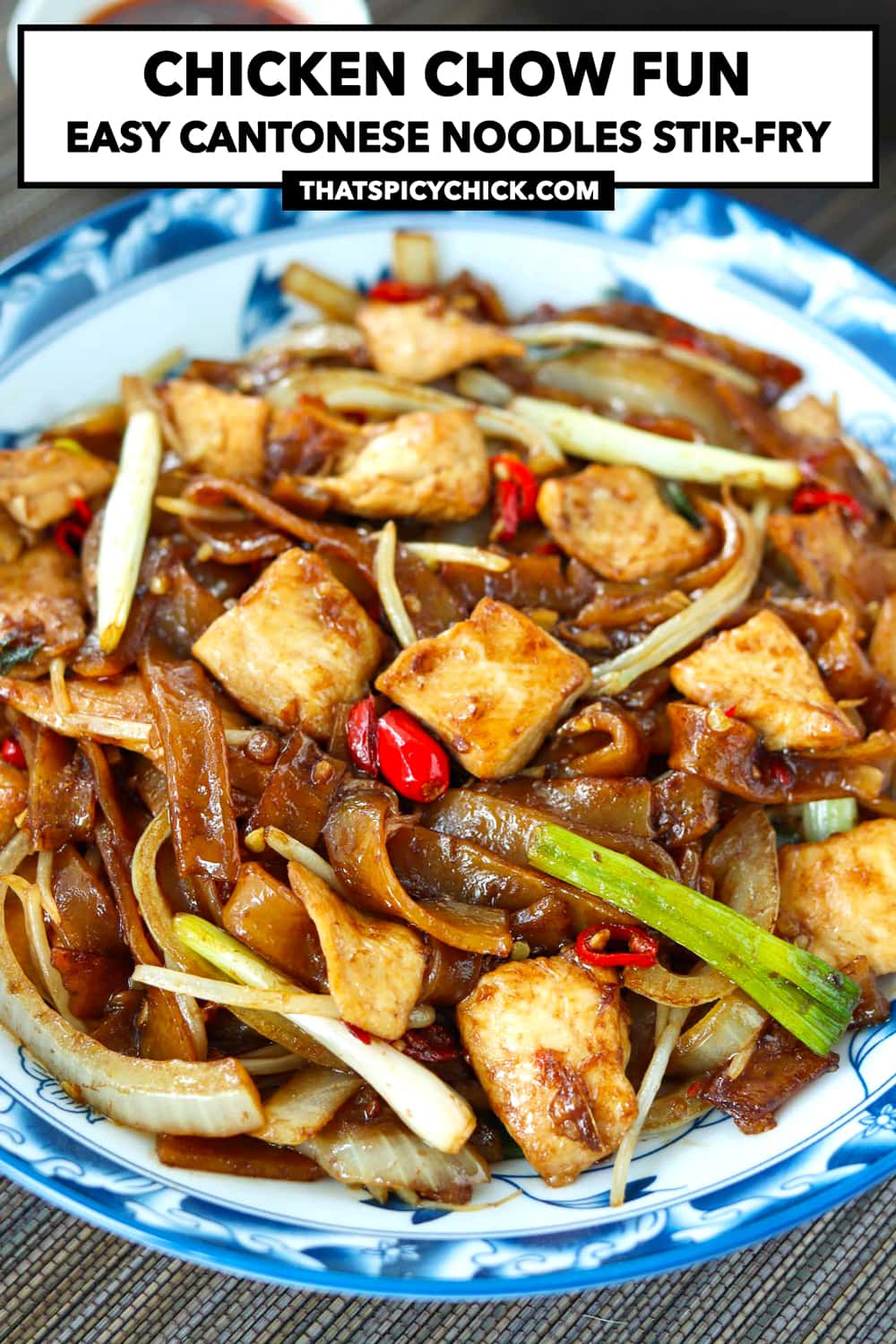 Chicken Chow Fun (Cantonese Style Stir-fried Noodles) - That Spicy Chick
