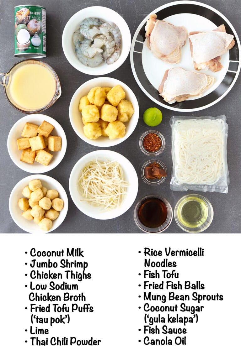 Spicy Curry Laksa (with homemade laksa paste!) - That Spicy Chick