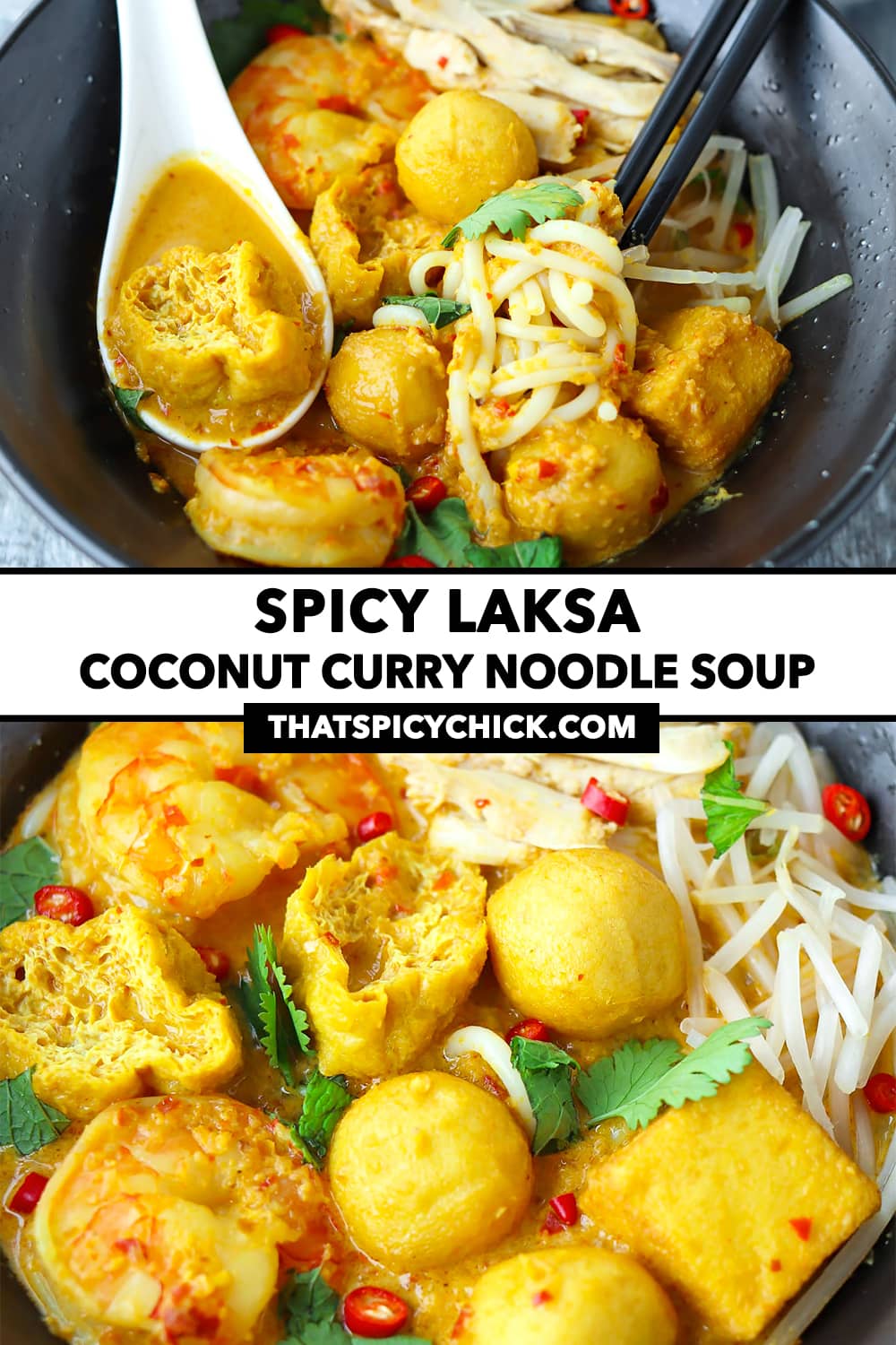 Spicy Curry Laksa (with homemade laksa paste!) - That Spicy Chick