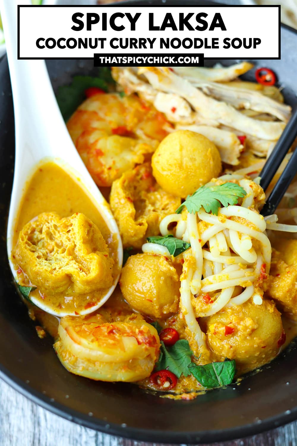 Spicy Curry Laksa (with homemade laksa paste!) - That Spicy Chick