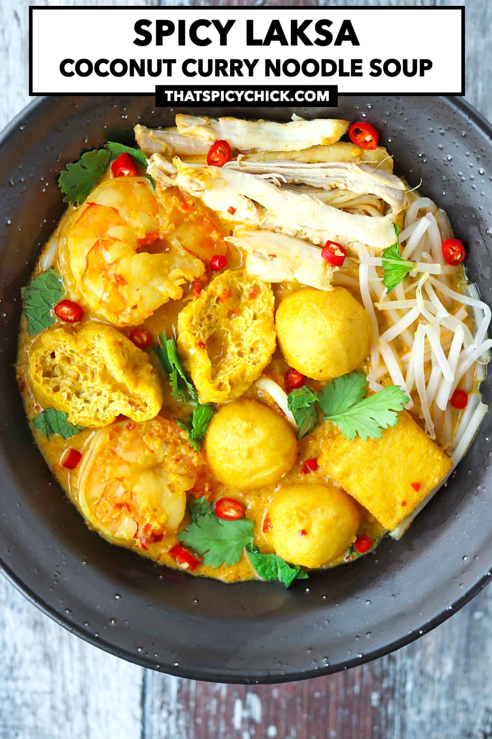 Spicy Curry Laksa (with homemade laksa paste!) - That Spicy Chick