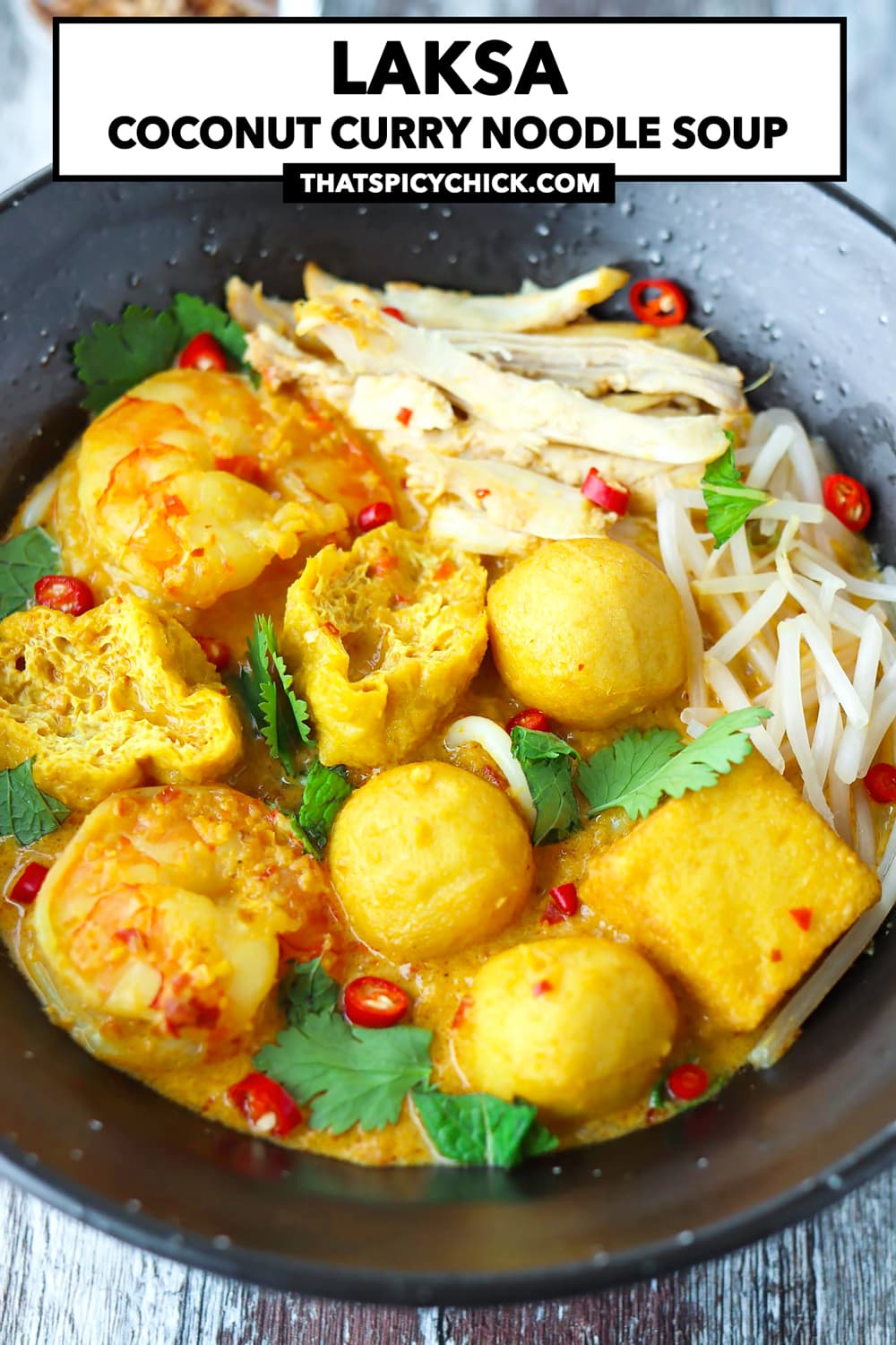Spicy Curry Laksa (with homemade laksa paste!) - That Spicy Chick