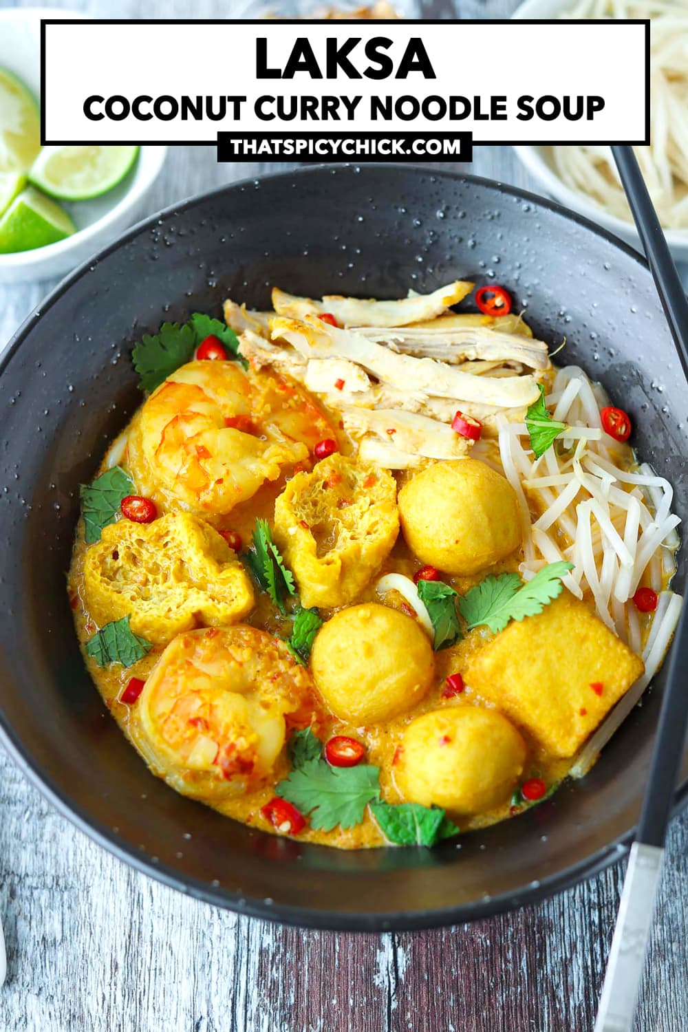 Spicy Curry Laksa (with homemade laksa paste!) - That Spicy Chick