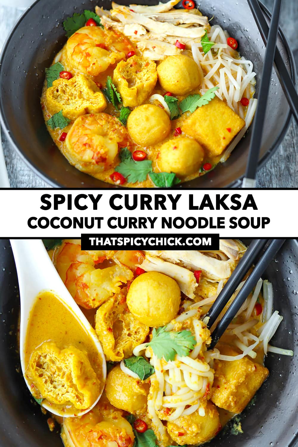 Spicy Curry Laksa (with homemade laksa paste!) - That Spicy Chick