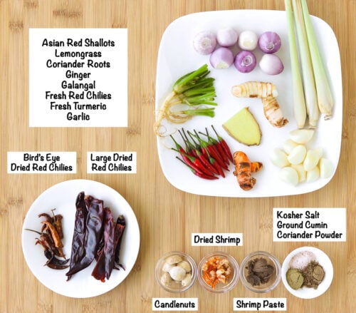 Spicy Curry Laksa (with homemade laksa paste!) - That Spicy Chick