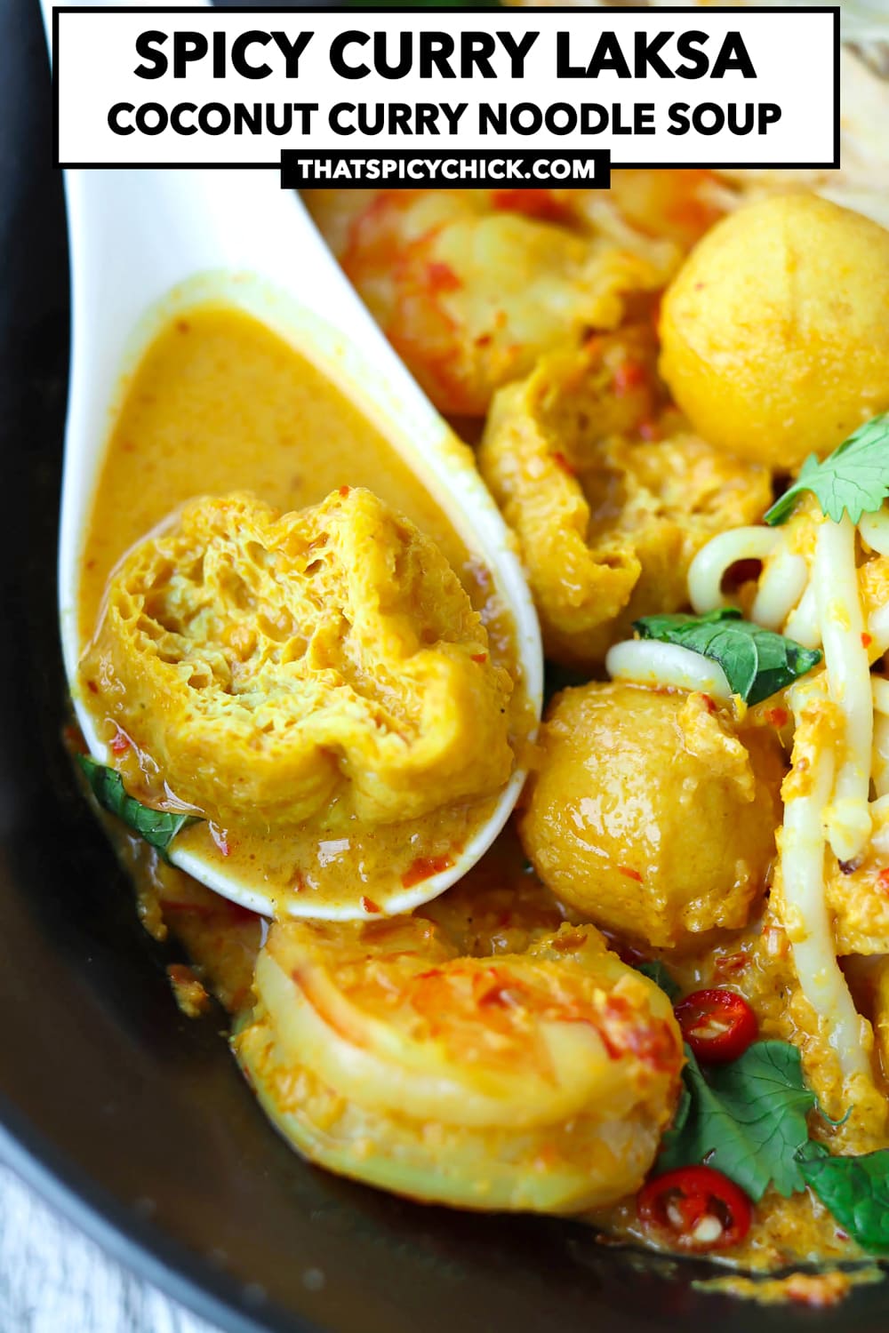 Spicy Curry Laksa (with homemade laksa paste!) - That Spicy Chick