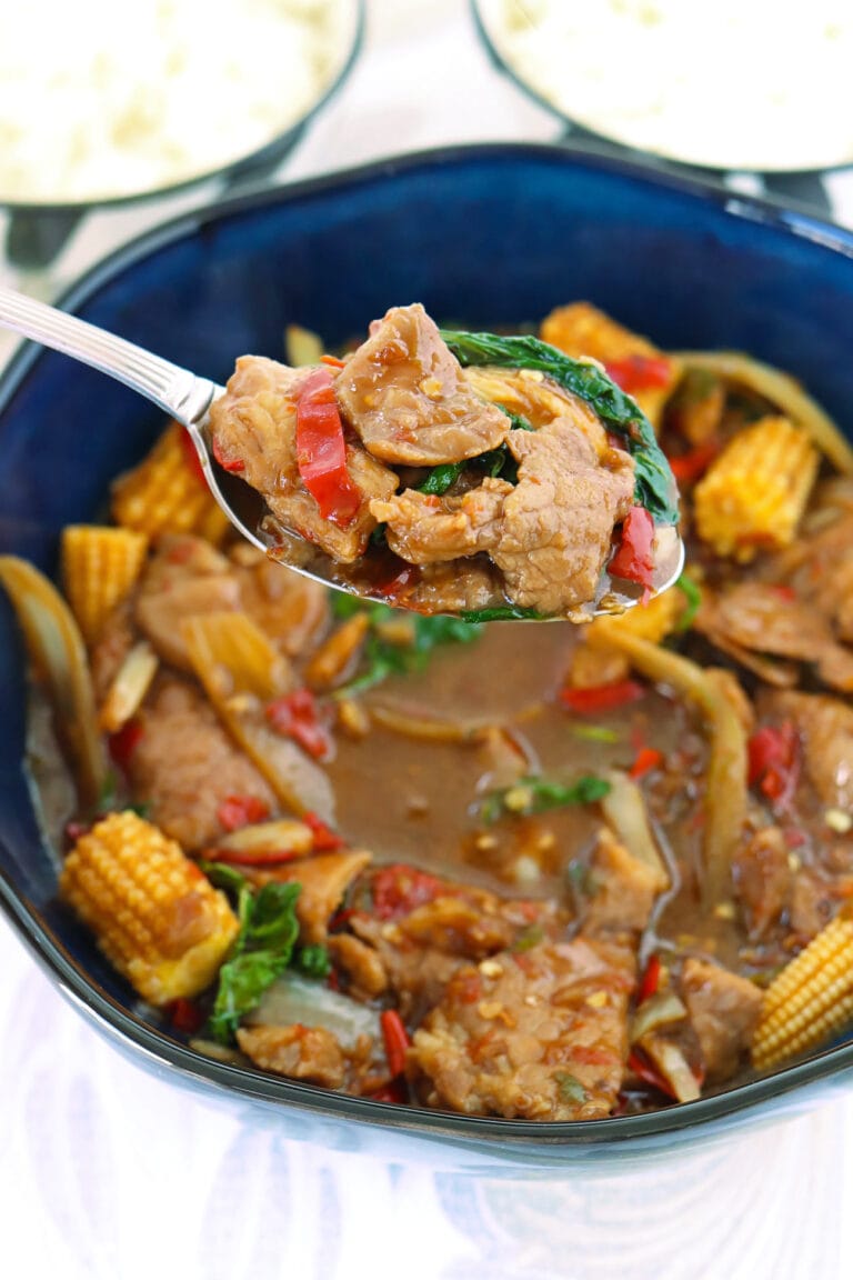 Thai Basil Pork Stir-fry (w/ Pork Collar & EXTRA Sauce) - That Spicy Chick