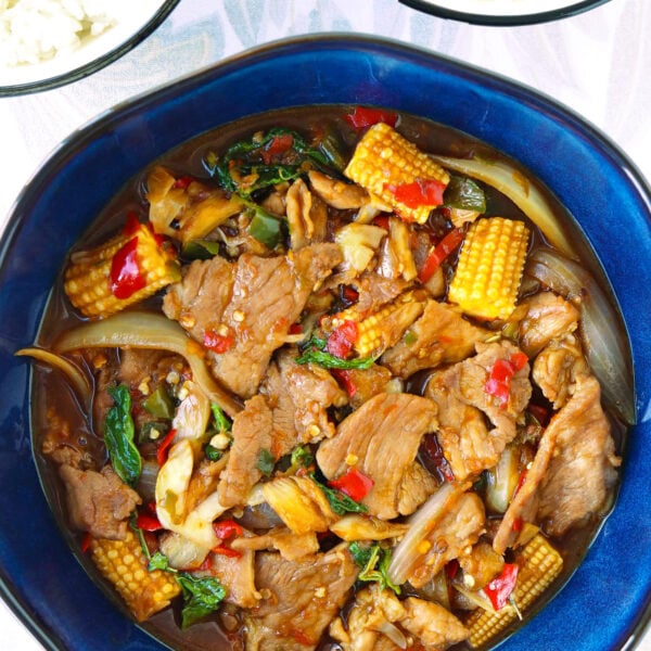 Thai Holy Basil Chicken (Pad Kra Pow Gai) - That Spicy Chick