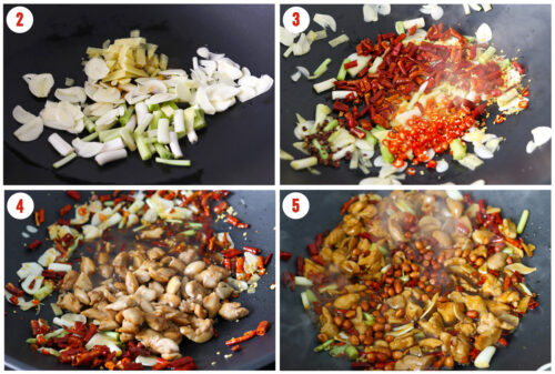 Authentic Kung Pao Chicken (Chengdu-style) - That Spicy Chick