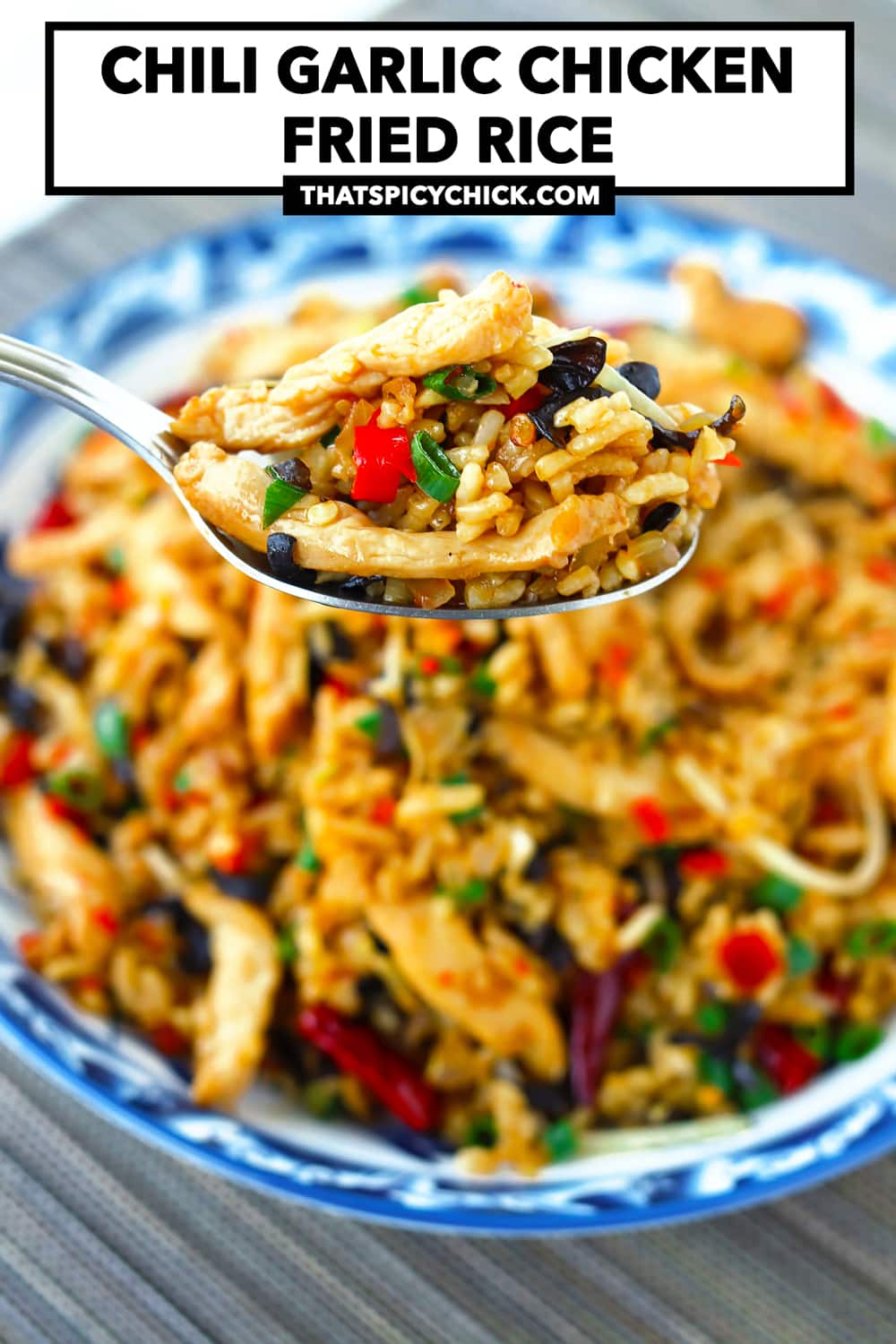 Sichuan Chili Garlic Chicken Fried Rice (Yu Xiang Style) - That Spicy Chick