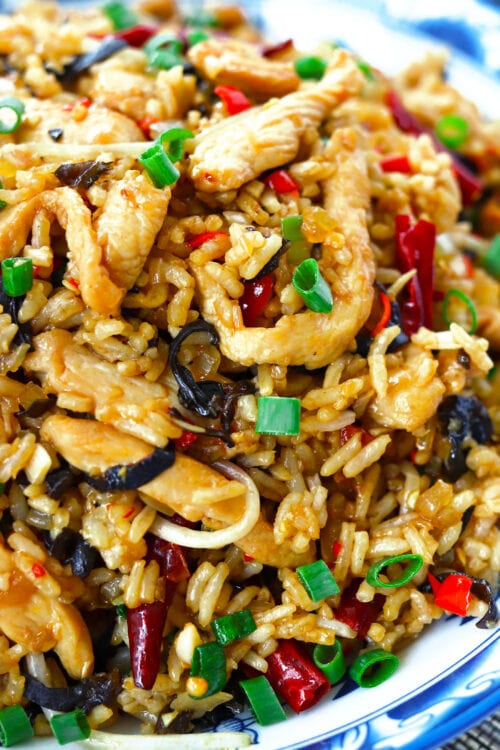 Sichuan Chili Garlic Chicken Fried Rice (Yu Xiang Style) - That Spicy Chick