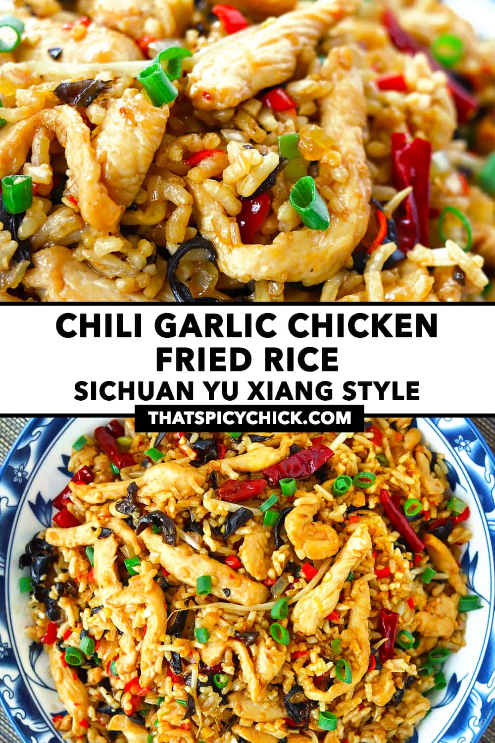 Sichuan Chili Garlic Chicken Fried Rice (Yu Xiang Style) - That Spicy Chick