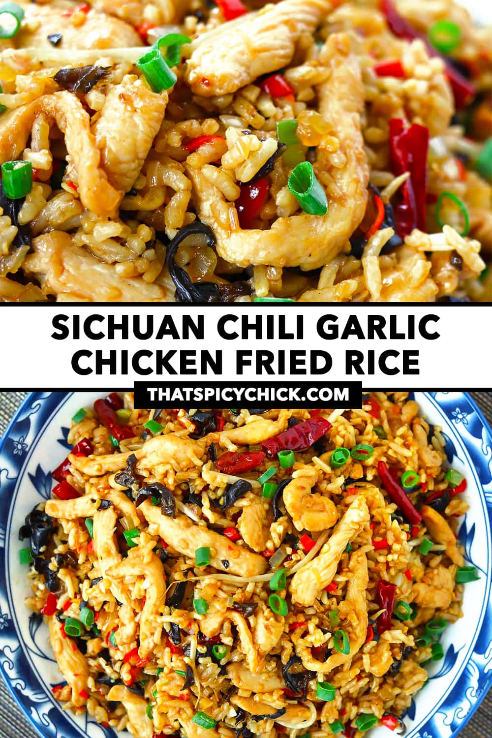 Sichuan Chili Garlic Chicken Fried Rice (Yu Xiang Style) - That Spicy Chick