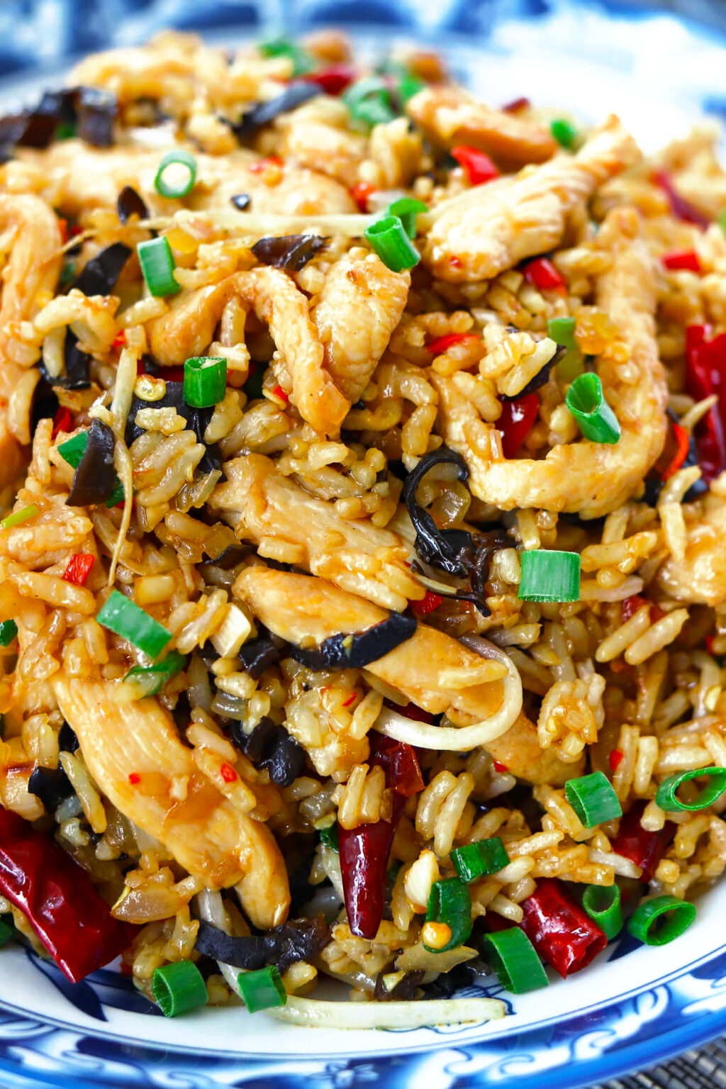 Sichuan Chili Garlic Chicken Fried Rice (Yu Xiang Style) - That Spicy Chick