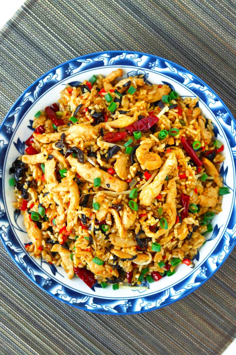 Sichuan Chili Garlic Chicken Fried Rice (Yu Xiang Style) - That Spicy Chick