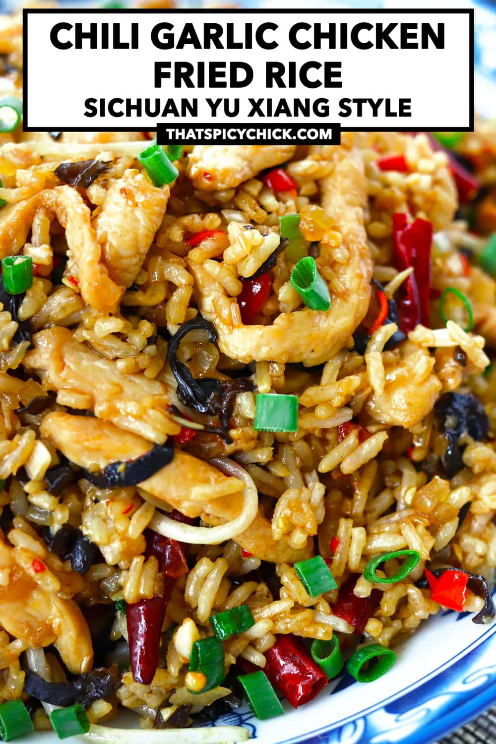 Sichuan Chili Garlic Chicken Fried Rice (Yu Xiang Style) - That Spicy Chick