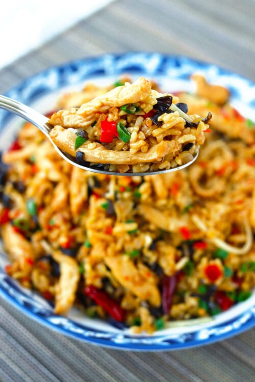 Sichuan Chili Garlic Chicken Fried Rice (Yu Xiang Style) - That Spicy Chick