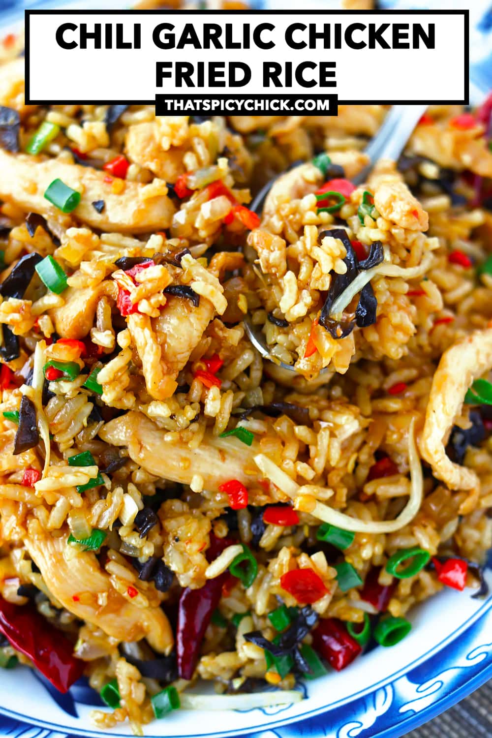 Sichuan Chili Garlic Chicken Fried Rice (Yu Xiang Style) - That Spicy Chick
