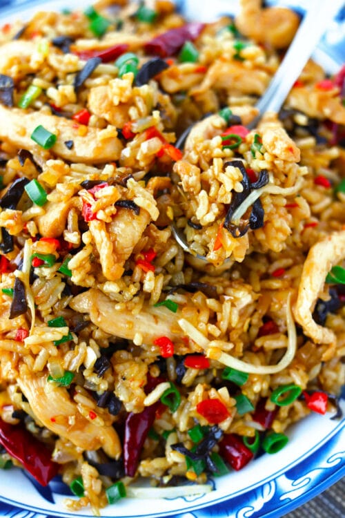 Sichuan Chili Garlic Chicken Fried Rice (Yu Xiang Style) - That Spicy Chick