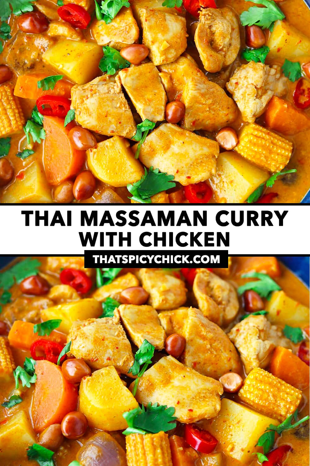 Thai Massaman Chicken Curry - That Spicy Chick