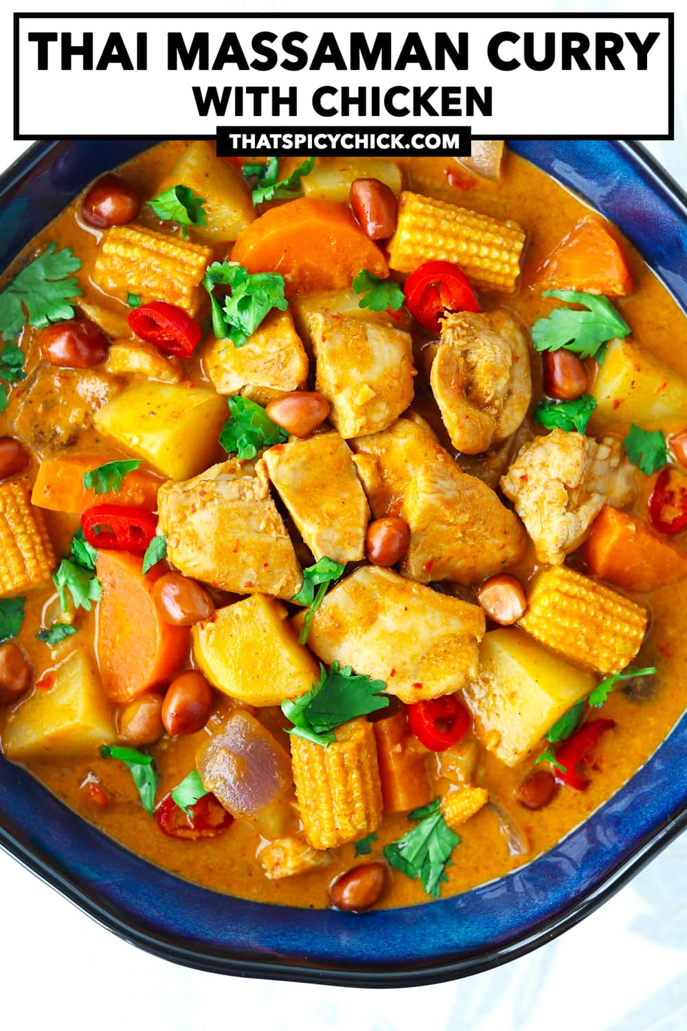 Thai Massaman Chicken Curry - That Spicy Chick