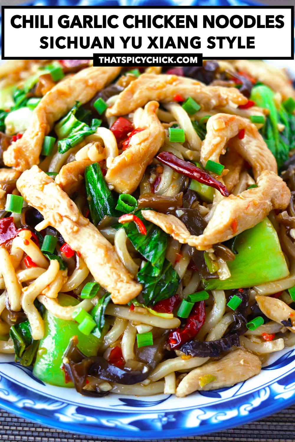 Chili Garlic Chicken Noodles (Sichuan Yu Xiang Style) - That Spicy Chick