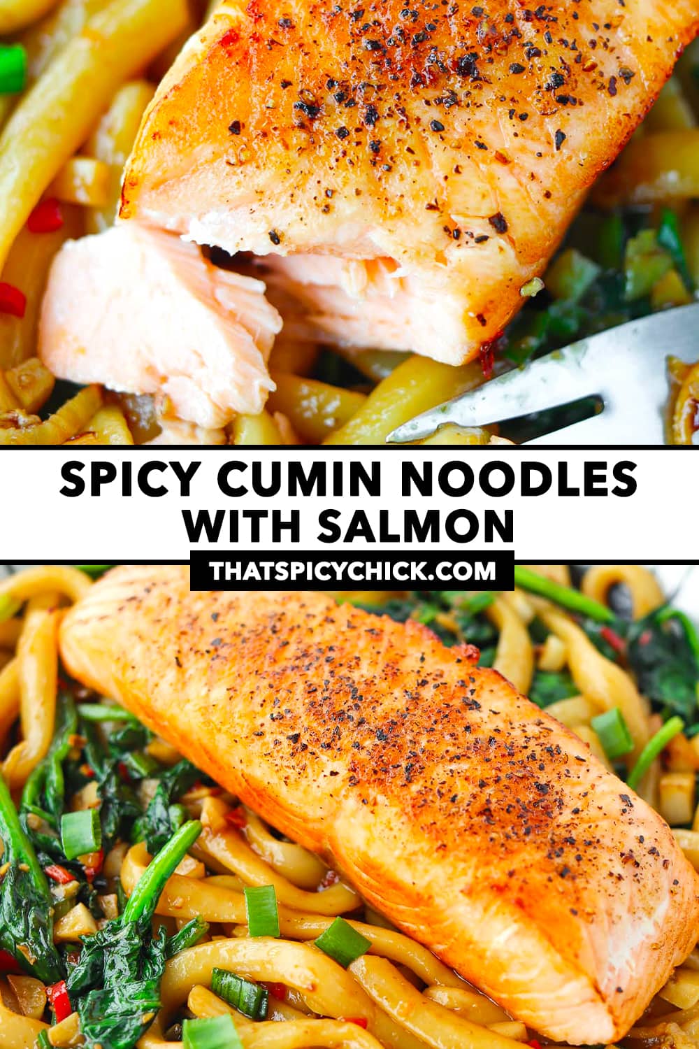 Spicy Cumin Noodles with Salmon - That Spicy Chick